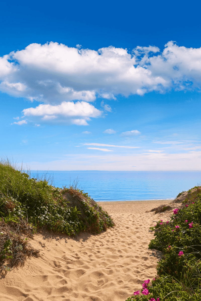 13 Best Things to Do in Cape Cod, MA (Updated 2024)