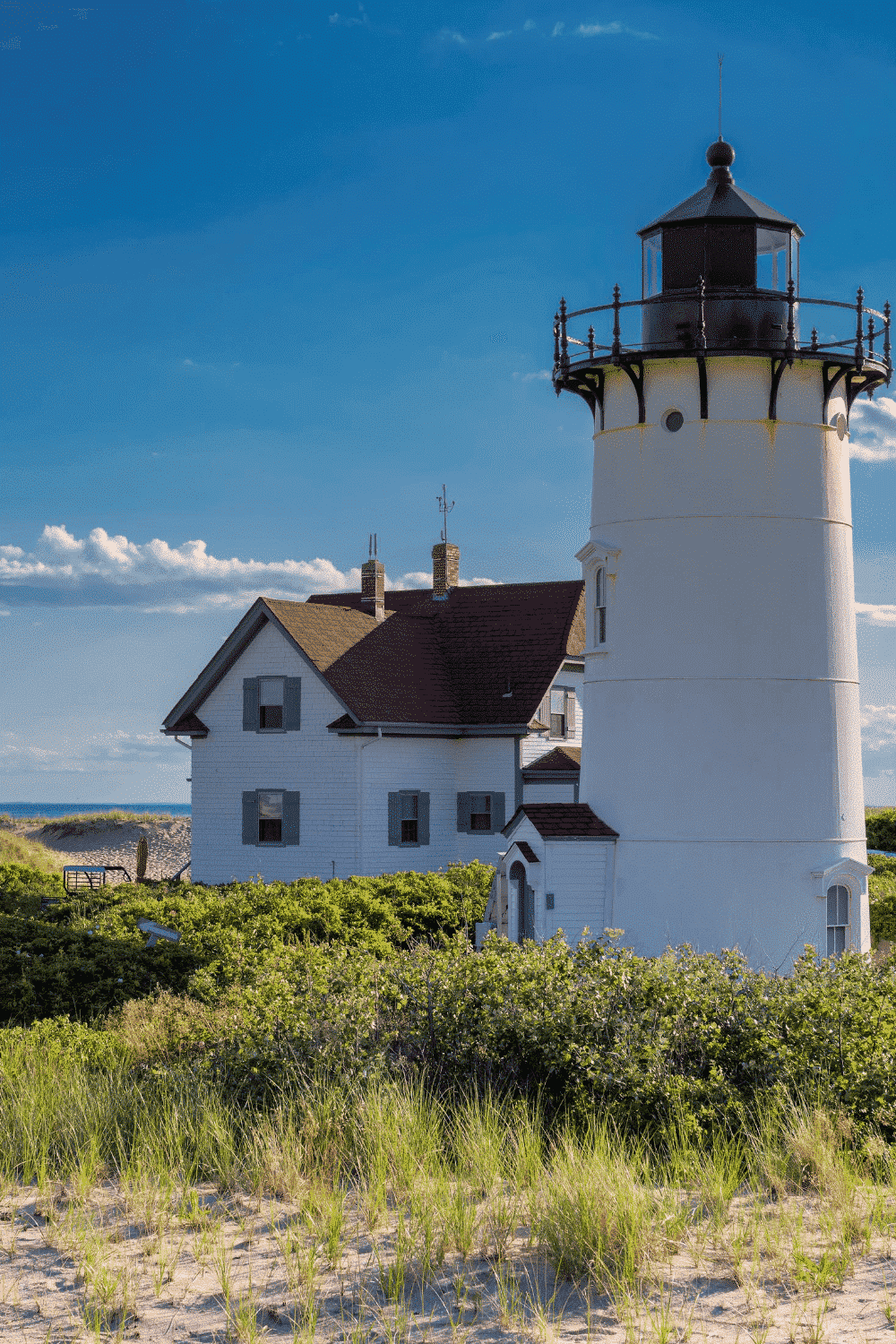 13 Best Things to Do in Cape Cod, MA (Updated 2024)