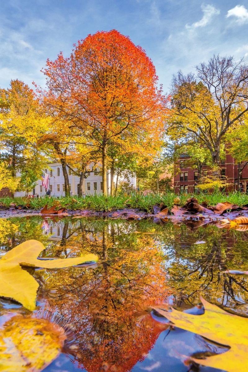 13 Best Things to Do in Boston in the Fall (Updated 2025)