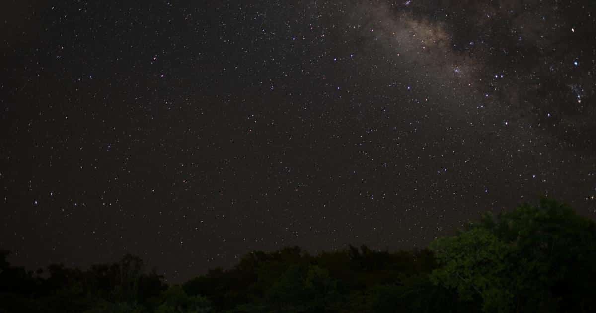 How to See Bioluminescent Bays in Puerto Rico (Updated 2025)