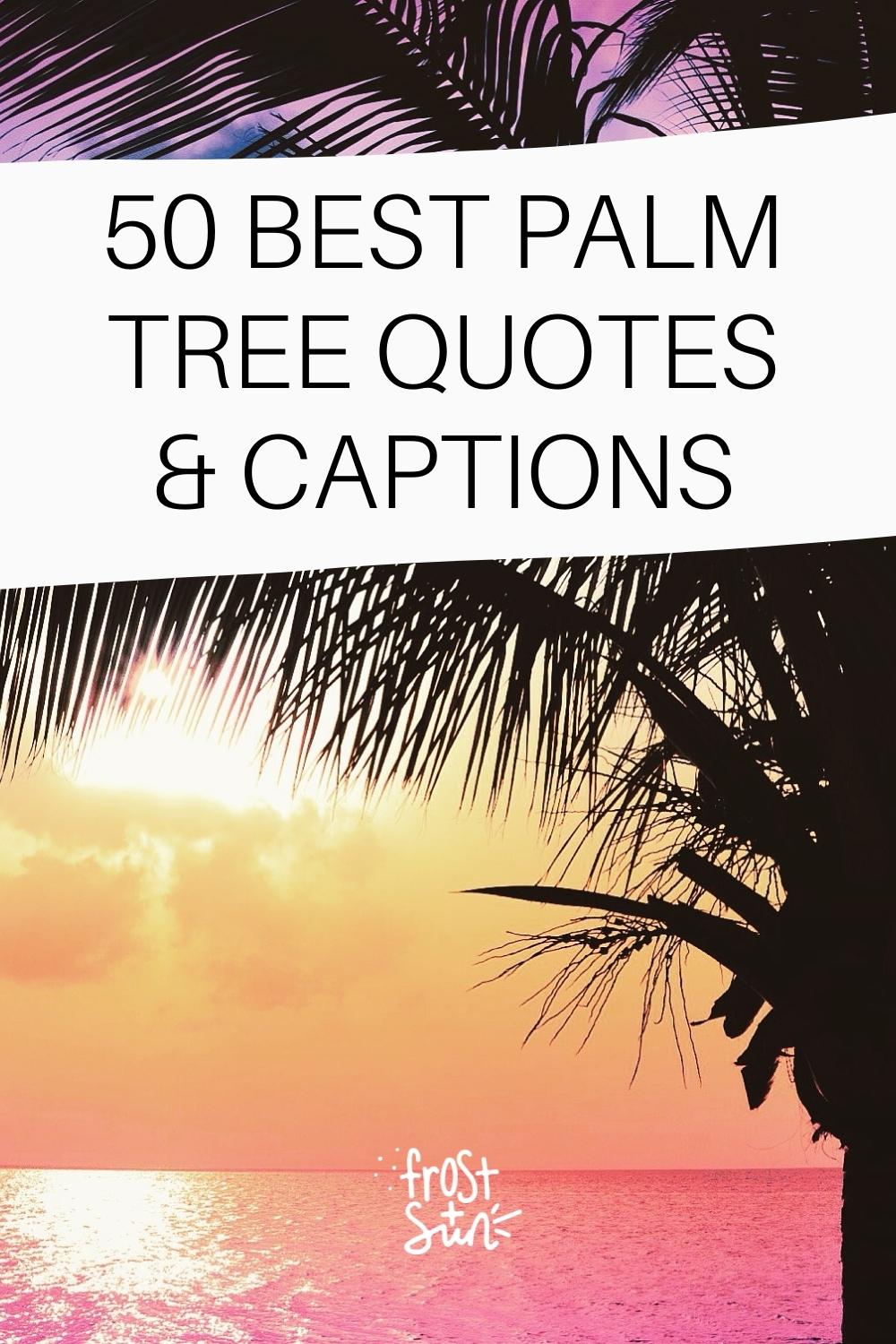 50 Best Palm Tree Quotes & Captions for Instagram