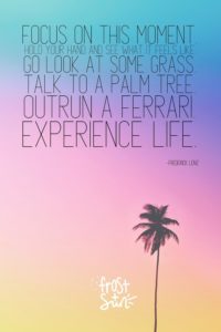 50 Best Palm Tree Quotes & Captions for Instagram