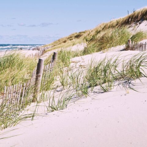 Where to Stay in Cape Cod: Best Areas and Accommodations