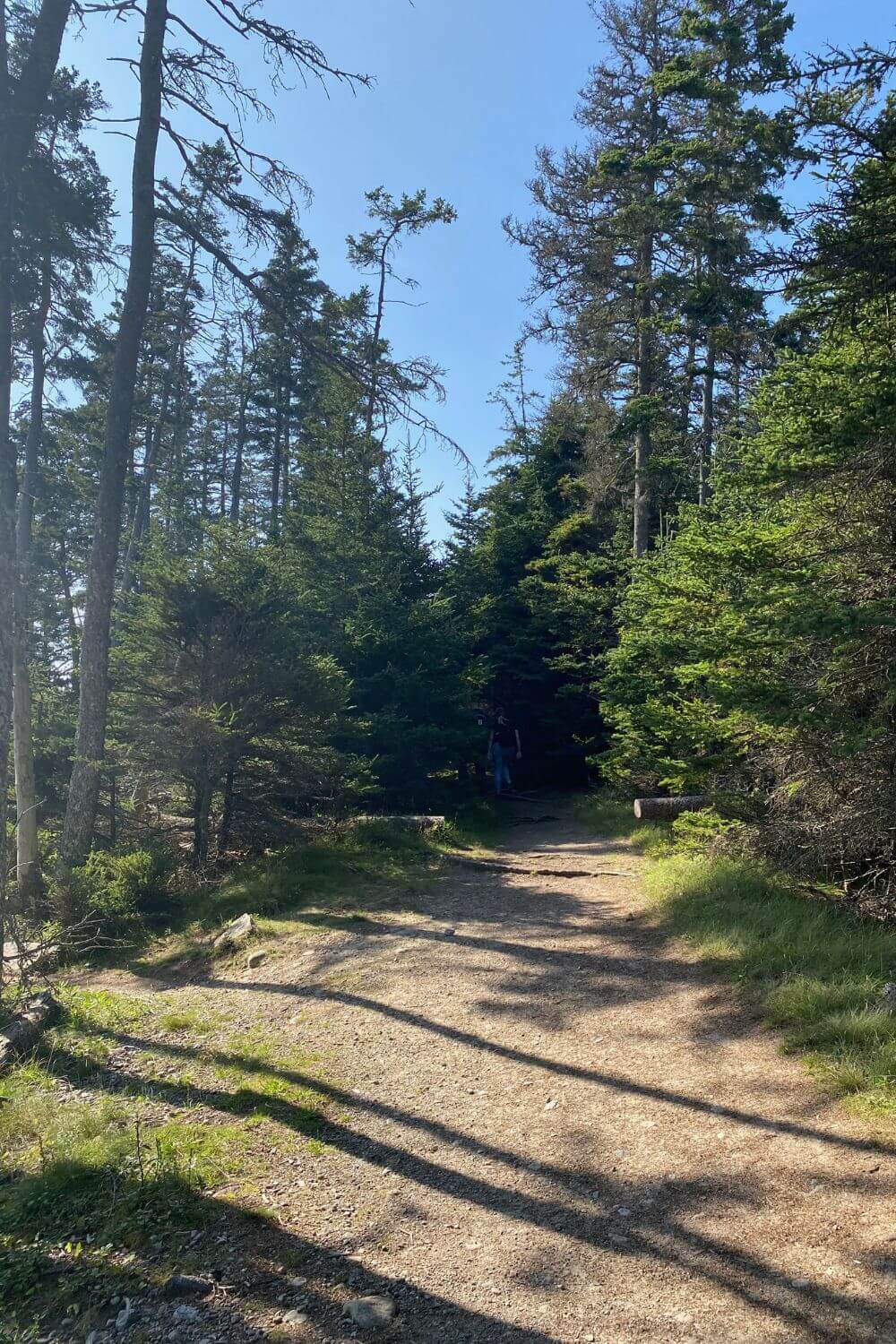 Tips for Hiking the Wonderland Trail in Acadia National Park