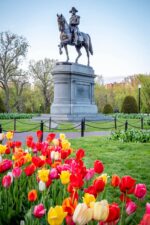 A Complete Guide to Visiting Boston in the Spring, From a Local • Frost ...